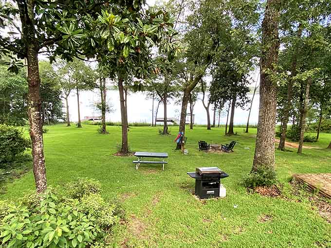 Where grilled masterpieces are served against a backdrop that makes even burnt hot dogs taste gourmet.