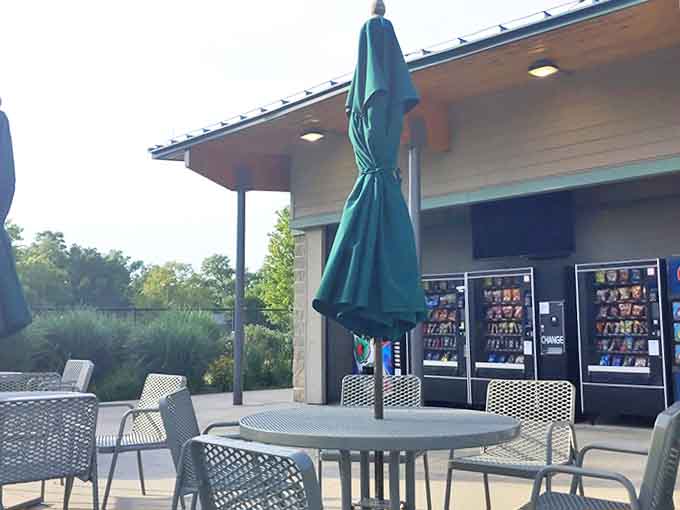 Vending machines provide backup snacks for those moments when you forgot to pack enough goldfish crackers for the apocalypse.