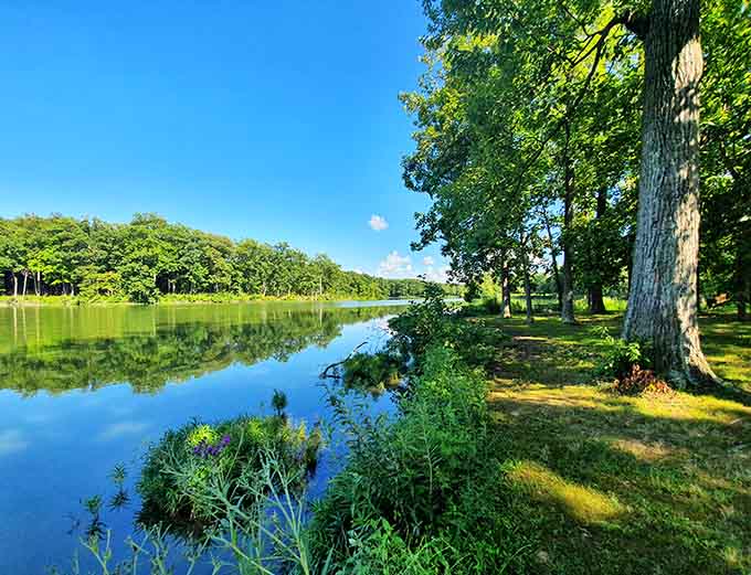 Tree-lined residential streets with actual sidewalks remind us that walkable neighborhoods weren't always considered a luxury amenity.
