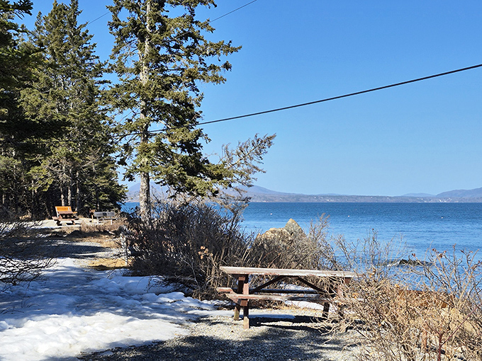 Winter's quiet beauty transforms familiar landscapes into serene snowscapes perfect for contemplative wandering.