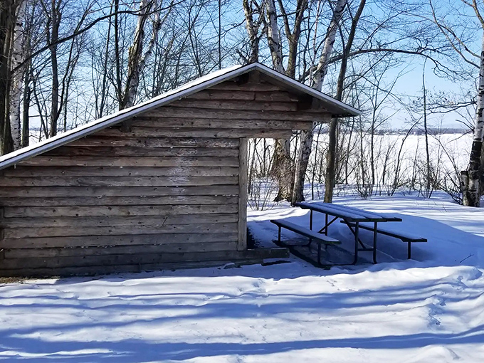 Winter transforms Knight Island into a snow-covered wonderland, where silence has a whole new meaning.