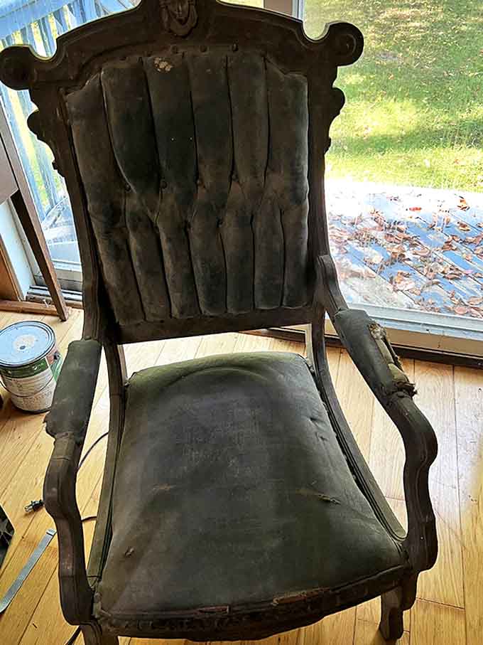 This velvet throne has cradled generations of sitters, its worn upholstery mapping a century of conversations, reading sessions, and quiet contemplations.