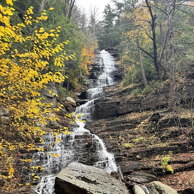 Autumn's golden frame transforms the falls into a painting that would make Bob Ross reach for his happy little trees.