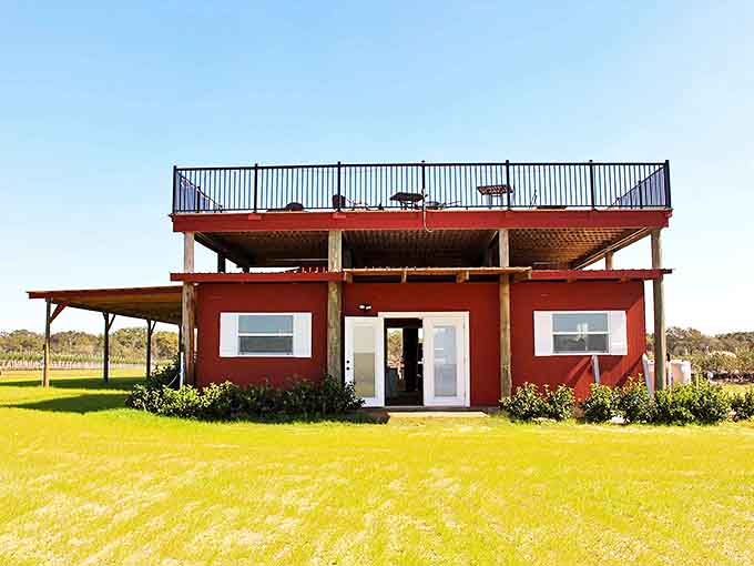 This charming red barn with rooftop deck offers the perfect vantage point for surveying the farm's patchwork of crops and sunflower fields.