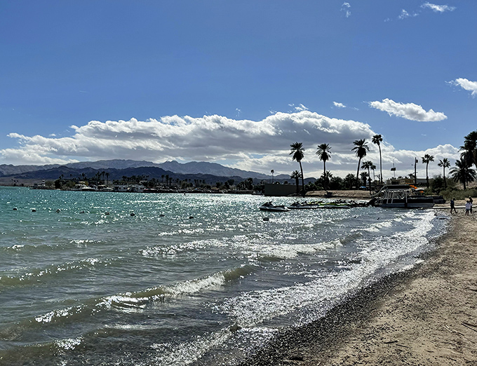 Desert meets water in perfect harmony &ndash; where cacti and palm trees share real estate along Lake Havasu's shores.