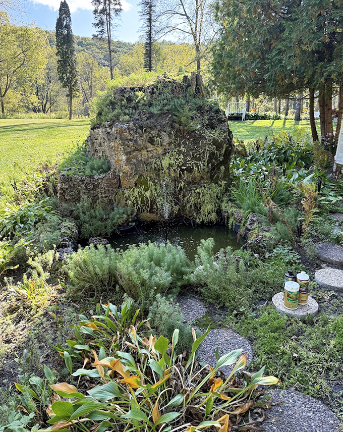 A moss-kissed grotto surrounds a tranquil pool, creating the perfect spot for woodland fairies to hold their meetings.