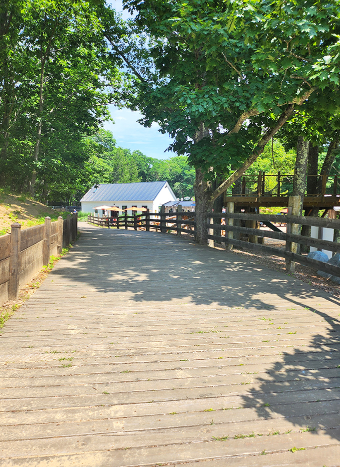 The wooden boardwalk creates a path through nature's contradiction, guiding visitors through this geographical plot twist with rustic charm.