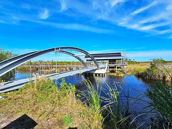 The park's unique pedestrian bridge offers safe passage and a perfect frame for capturing the surrounding landscape.