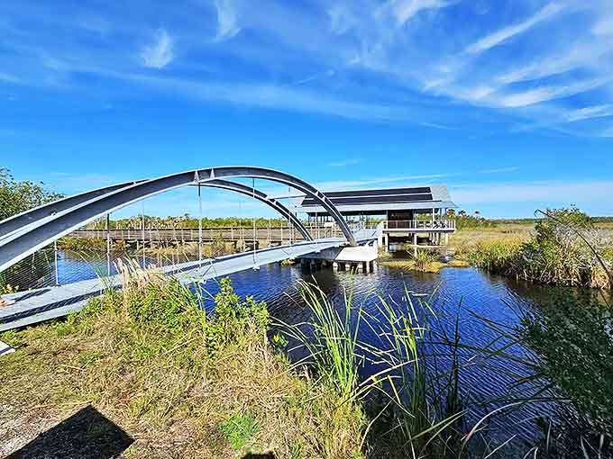 Engineering meets ecology in this graceful bridge design, connecting visitors to wilderness while preserving the water flow below.
