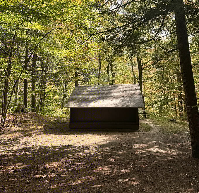 Lean-to shelters offering that perfect compromise between sleeping under stars and sleeping under an actual roof with walls.