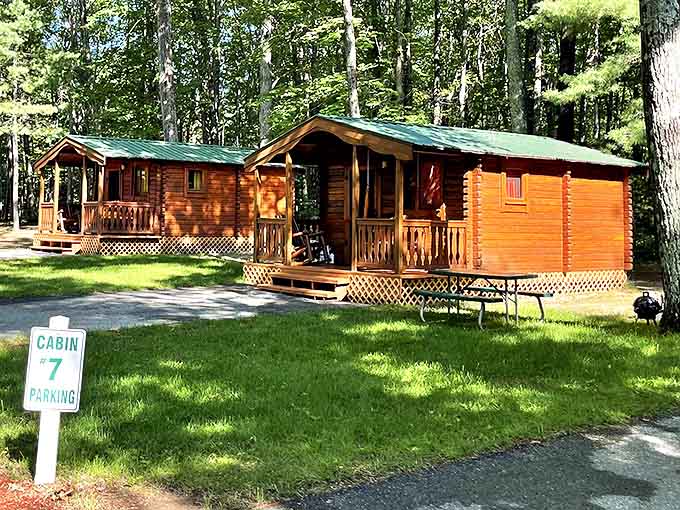 Rustic luxury awaits in these charming log cabins, offering woodland seclusion with just enough modern comforts to keep everyone happy.