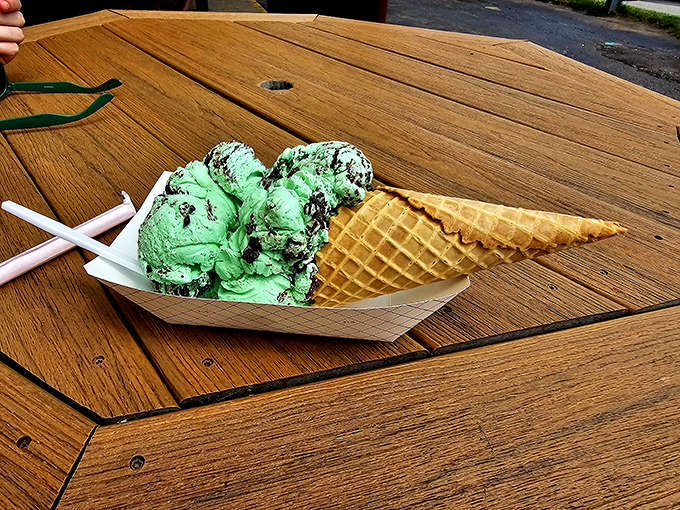 Mint chocolate chip that actually tastes like fresh mint leaves dancing with dark chocolate &ndash; not toothpaste with chocolate bits like lesser versions.