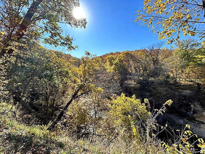 Sunlight bathes the autumn landscape in warm light, highlighting every golden leaf against Minnesota's famous blue skies.