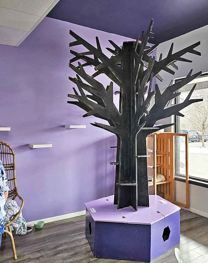 This sculptural climbing tree serves as both a functional cat playground and striking design element. The purple base anchors the cosmic theme throughout the space.