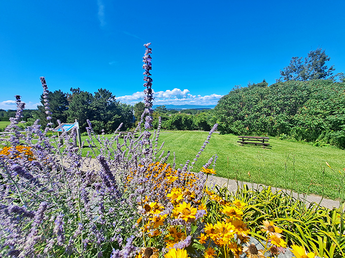 Purple and gold blooms dance in the summer breeze, adding foreground drama to the already spectacular distant views.