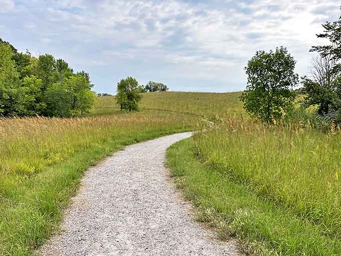 The path less traveled beckons through golden prairie grasses, promising solitude and discovery around every bend.