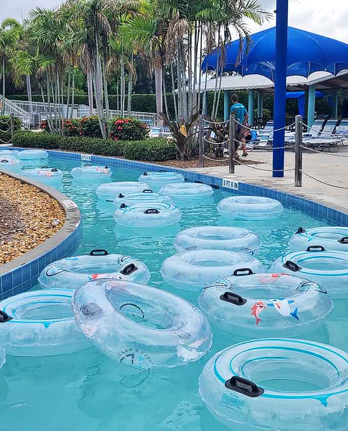A flotilla of transparent donuts awaits its captains. The lazy river's navy stands ready for duty in the great campaign against Florida heat.