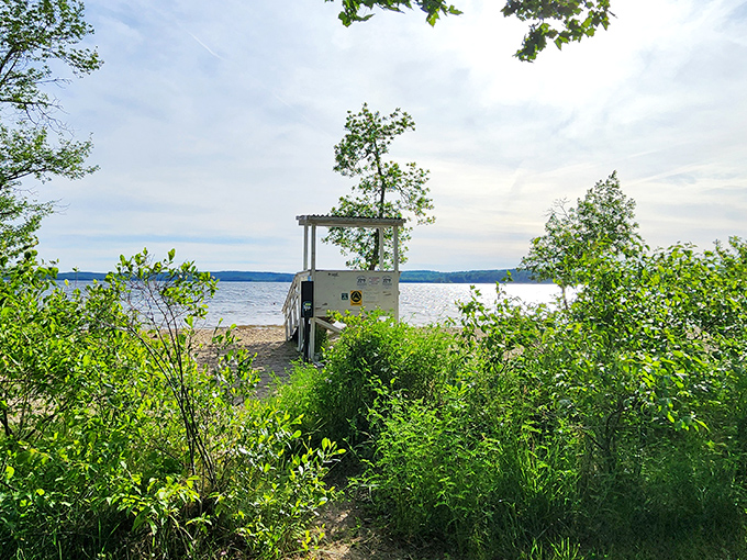 The lifeguard station stands sentinel over swimmers, a reassuring presence between forest and water.
