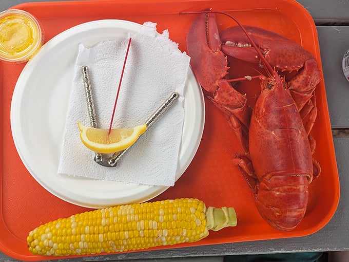 Maine's red gold served with beautiful simplicity &ndash; just corn, lemon, and drawn butter, because when it's this fresh, why complicate perfection?