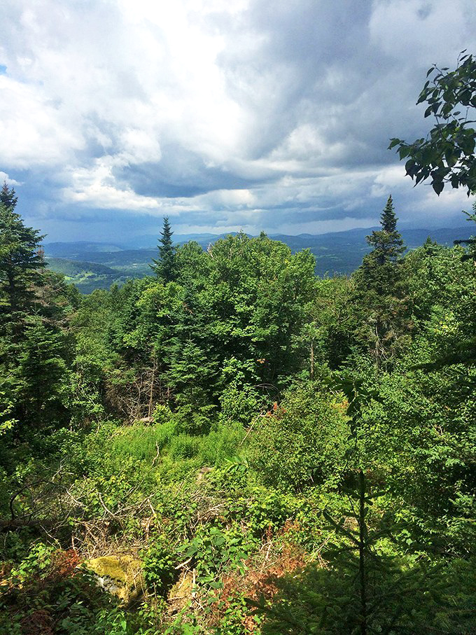Summer's verdant explosion creates a sea of green so vibrant it almost hurts your eyes. Vermont showing off its photosynthesis powers.