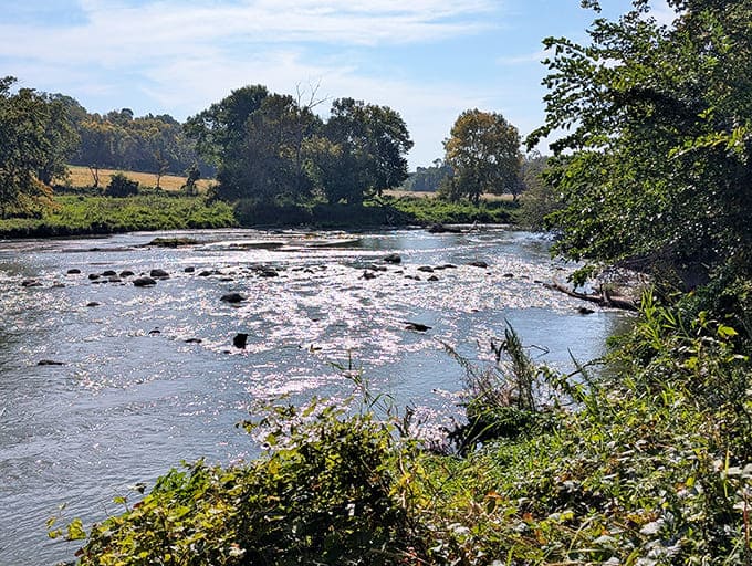 The Des Moines River flows through the park like nature's own lazy river ride, minus the chlorine and inner tube rentals.
