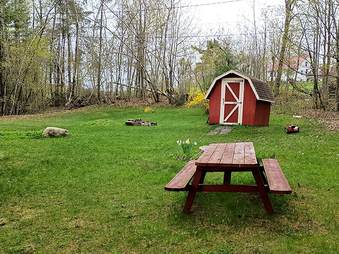 Lakeside leisure: A picnic spot that transforms simple sandwiches into memorable meals with a million-dollar view.
