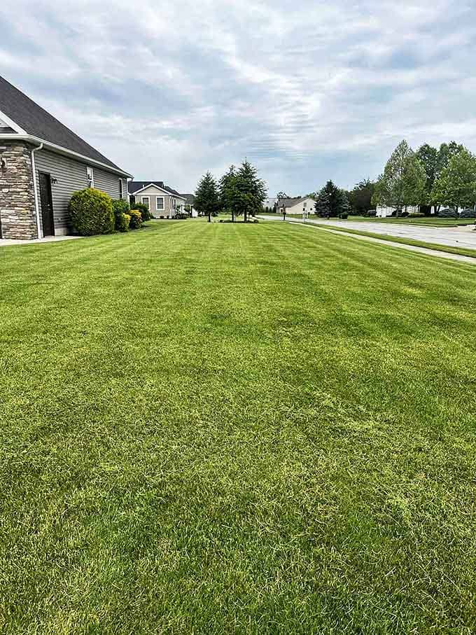 Lawns stretch like green carpets between neighboring homes, their immaculate care reflecting the pride of ownership that defines small-town America.