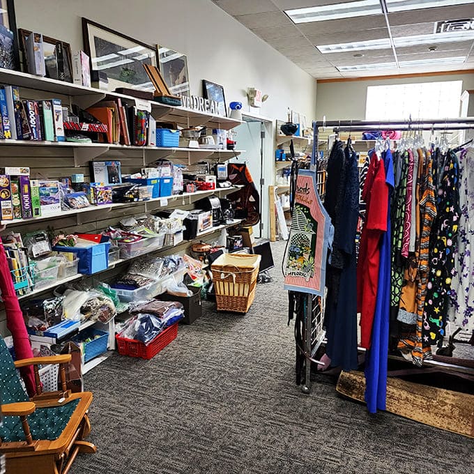 Every shelf holds potential discoveries, from practical household items to quirky collectibles that spark joy without emptying wallets.