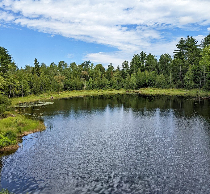 Mirror-like waters reflect the surrounding forest, creating the kind of serene vista that has passengers reaching for their cameras at every turn.