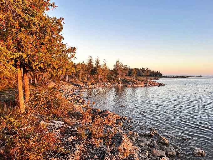 Sunset paints Lake Huron's shoreline in warm hues, offering a spectacular finale to a day of forest exploration.