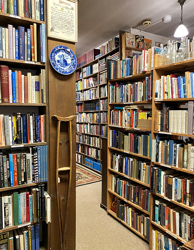 A wide variety of books provides access to literary heaven, where the highest shelves often hide the most surprising treasures.