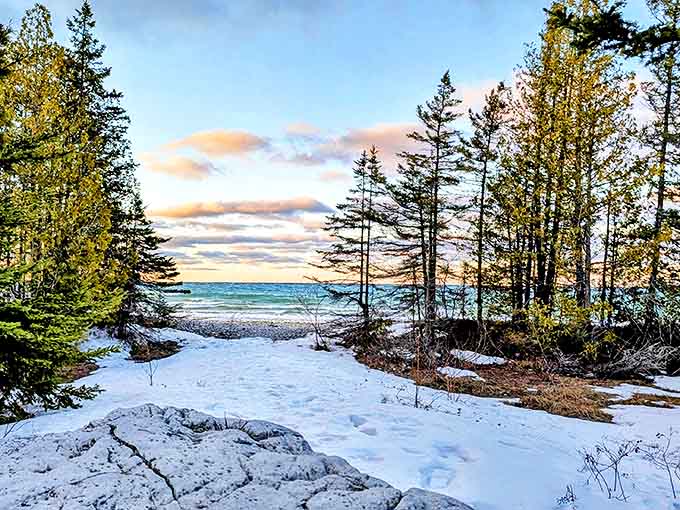 Winter's icy embrace transforms the forest into a magical threshold where Lake Huron's blue horizon promises adventure for the cold-hardy explorer.