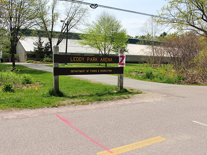 Leddy Park Arena welcomes skaters of all abilities, where Olympic dreams and wobbly first attempts share the same welcoming ice.