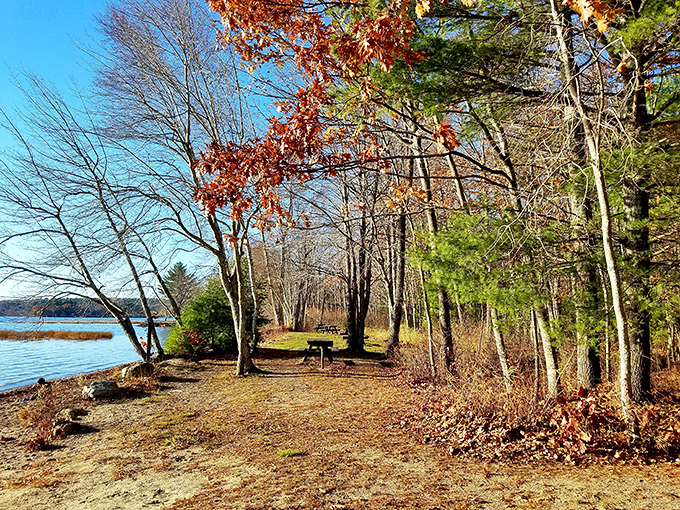 Fall's fiery palette reflects in still waters, doubling nature's spectacular seasonal show for lucky observers.