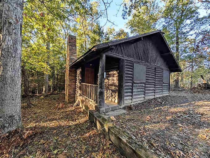 This rustic cabin seems to have grown organically from the forest floor. Thoreau would have approved of this woodland retreat.