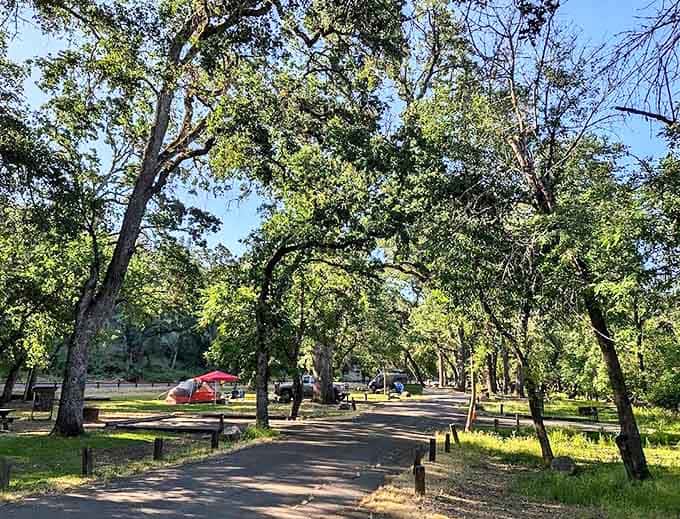 A tree-lined camping paradise where each site offers the perfect balance of privacy and community under a canopy of Michigan's finest greenery.