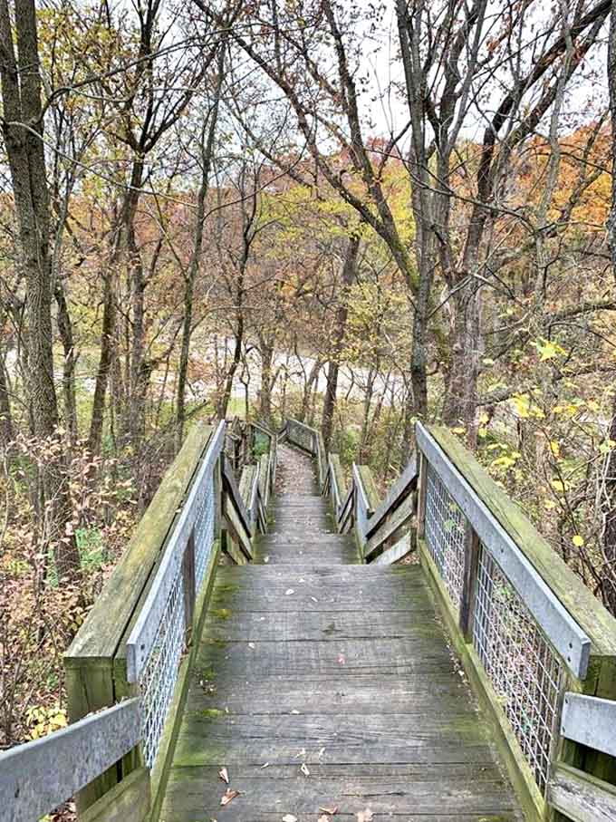 More wooden stairs descending through the forest remind you that what goes down must come back up, but the views make it worthwhile.