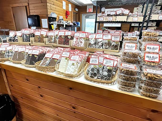 A paradise of handcrafted chocolates beckons sweet-toothed visitors, each piece promising a moment of pure, unadulterated joy.