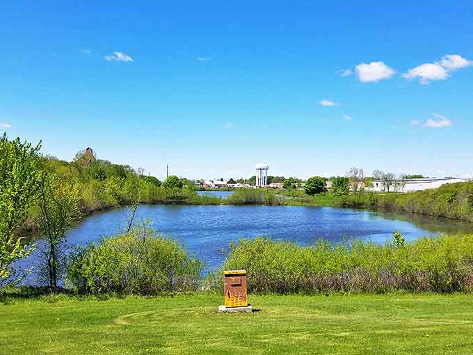 The small pond reflects the sky like nature's own mirror, offering a tranquil spot where ducks paddle and stressed humans remember how to breathe deeply.