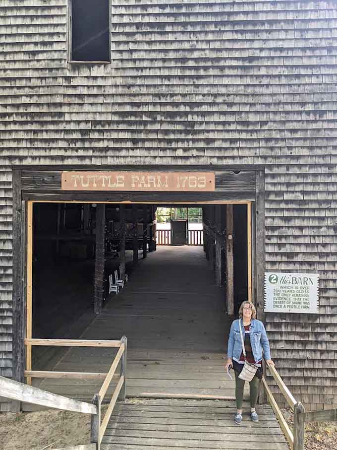 The Tuttle Farm barn entrance beckons visitors to explore the agricultural history that accidentally created Maine's most famous natural oddity and tourist attraction.