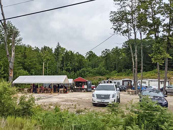 The rustic setup and natural surroundings remind you that the best adventures don't need fancy facilities, just good earth and eager treasure hunters.