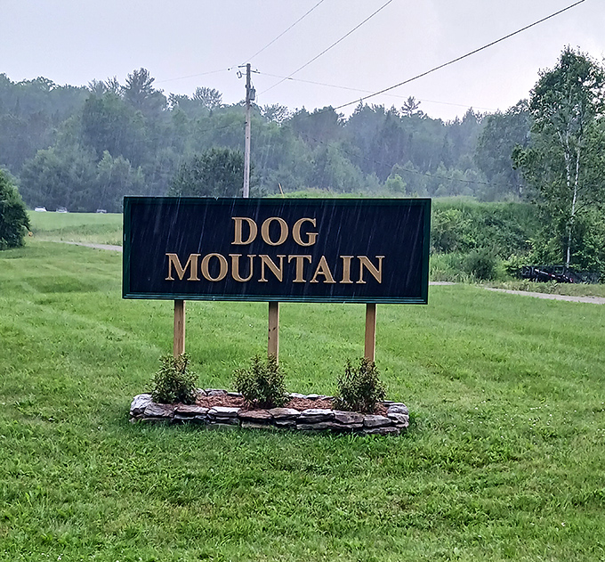 The Dog Mountain sign welcomes visitors to this canine paradise, where the rules are simple: love dogs, respect nature, and leave your worries behind.