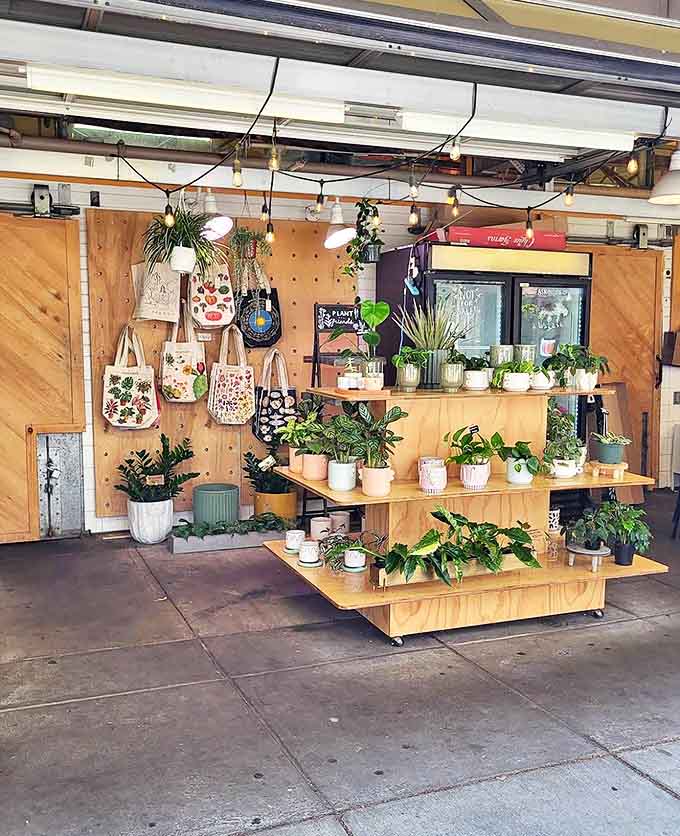A plant display that makes apartment dwellers dream of turning their urban spaces into miniature jungles, one succulent at a time.