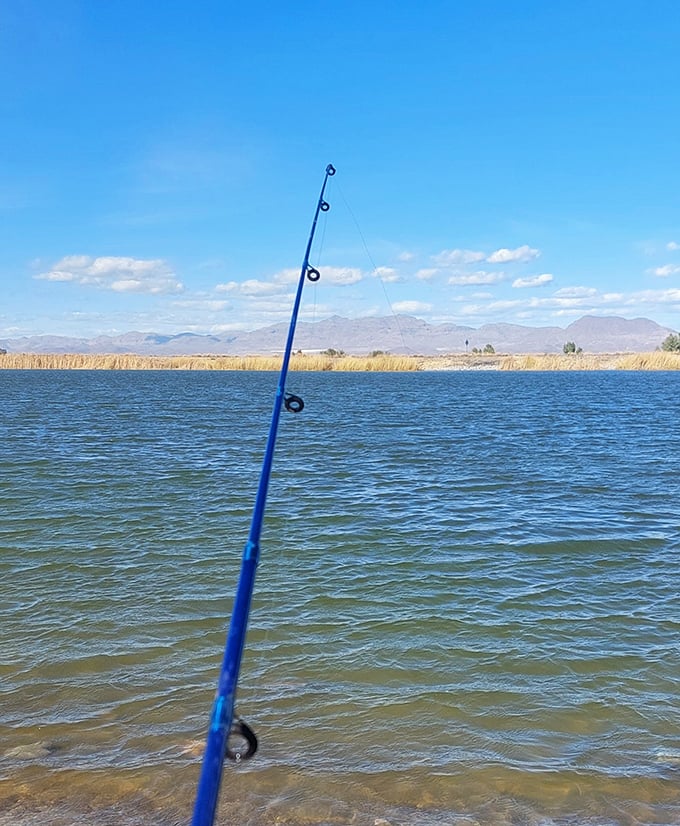 That fishing rod points toward possibility &ndash; Roper Lake's waters teem with rainbow trout, largemouth bass, and other finned treasures awaiting discovery.
