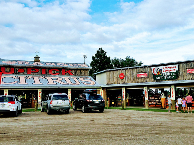 The U-Pick Citrus barn bustles with visitors eager to taste authentic Florida &ndash; no artificial flavors, just pure sunshine.
