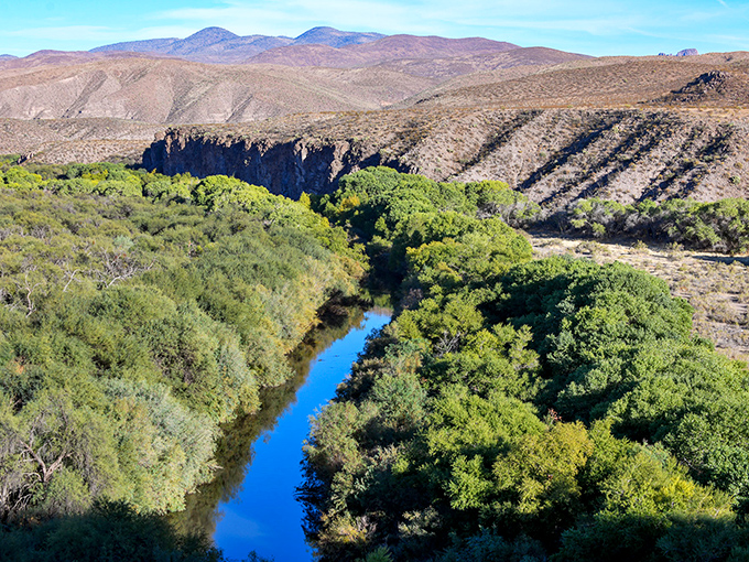 The Gila River carves a life-giving blue ribbon through the arid landscape, creating a lush oasis where wildlife thrives and photographers find paradise.
