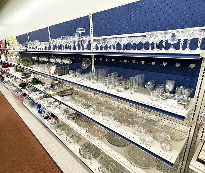 Crystal clear opportunities! Vintage glassware catches the light and imagination – perfect for your next dinner party or cocktail hour.