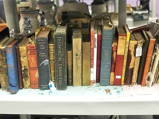 Vintage books line up like soldiers of knowledge, their weathered spines hinting at adventures, romances, and wisdom waiting between their covers.