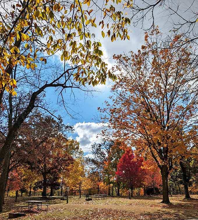 Fall colors explode across the landscape like nature decided to show off everything it learned in art school.