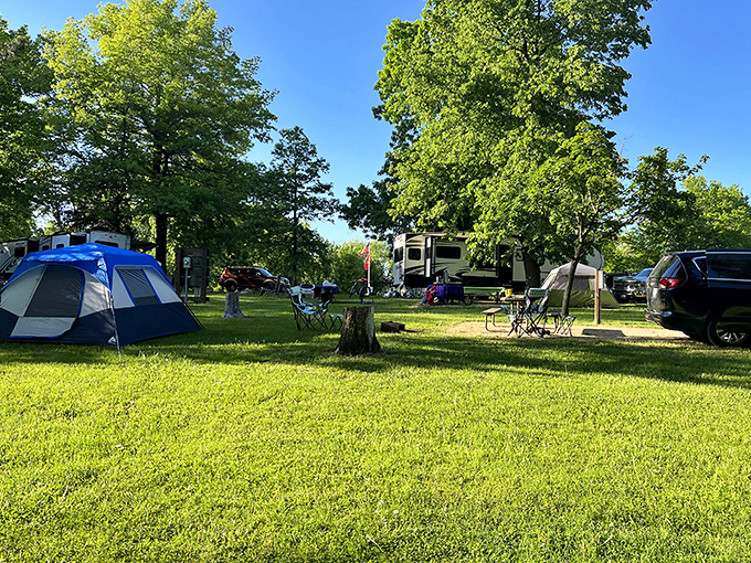 Campers create temporary neighborhoods under ancient trees, where strangers become friends over shared campfires.